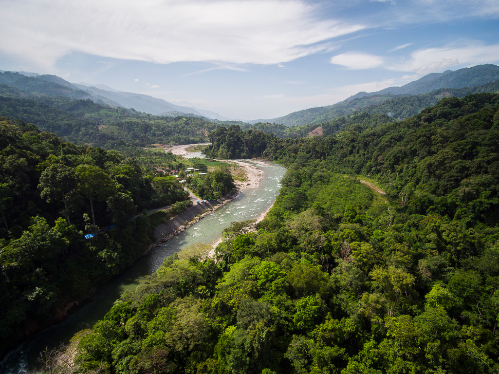 Gunung Leuser National Park - Trekking with Orangutans in the Rainforest